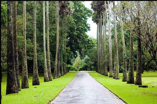 Nuwara Eliya & Kandy | 2 Days Tour - FAQ