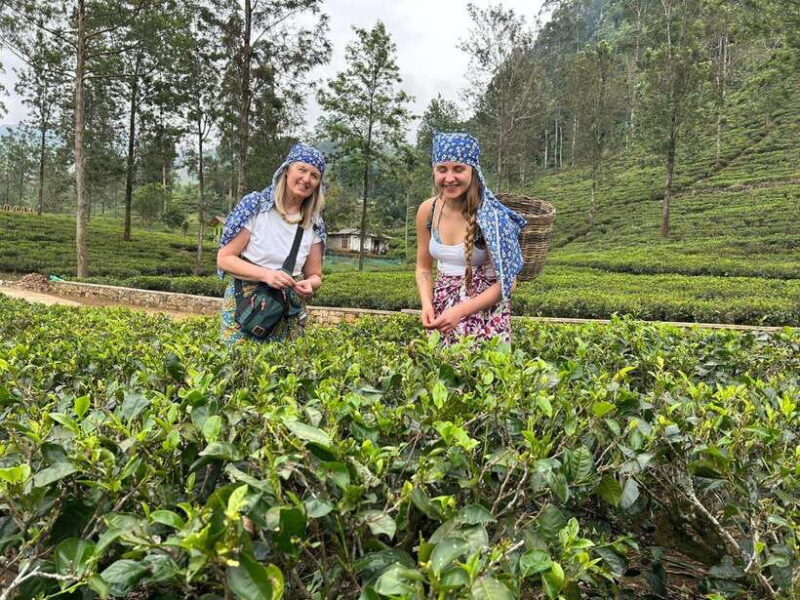 Nuwara Eliya: Private Sightseeing Tuk-Tuk Tour - Key Points