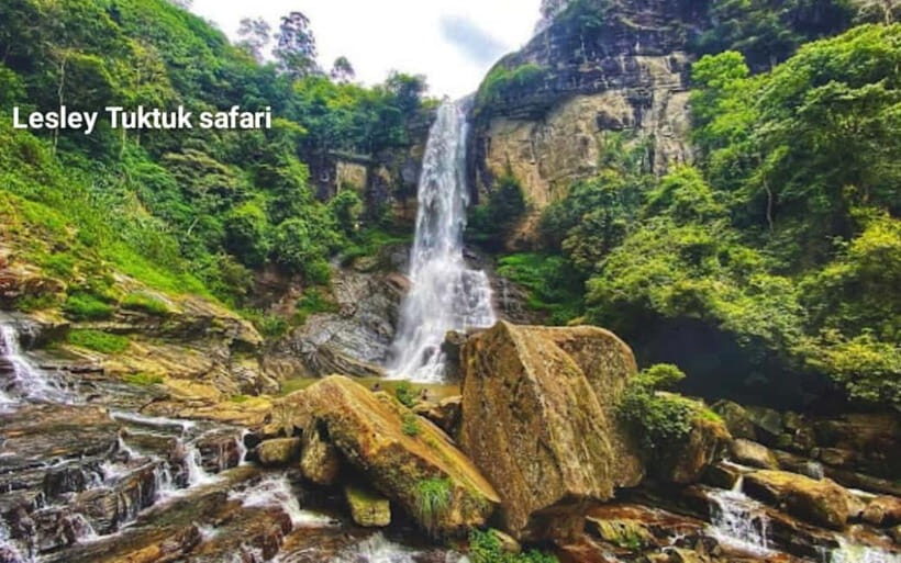 Nuwara Eliya: Sightseeing Tour and Drop With Local Guide - Who Should Consider This Tour?