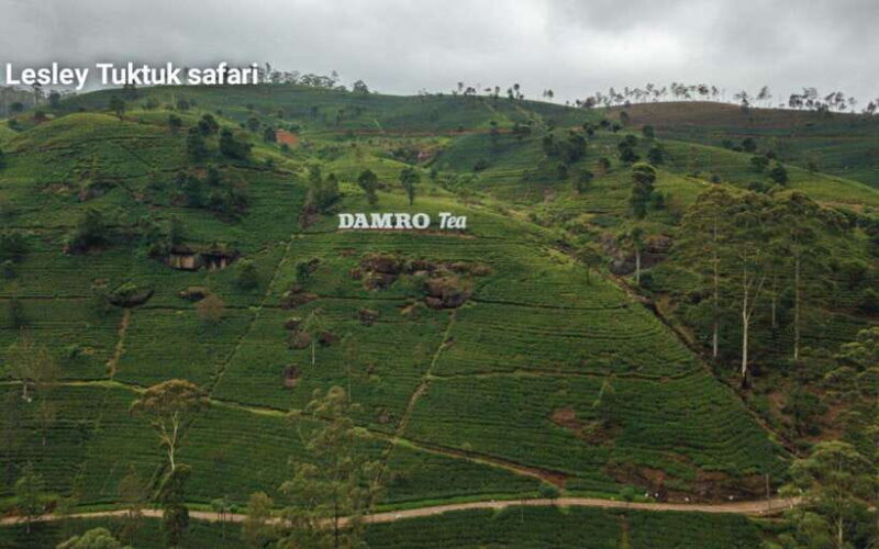 Nuwara Eliya: Sightseeing Tour and Drop With Local Guide - What to Bring