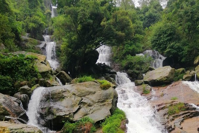 Nuwara Eliya Tea factory and waterfall tour - Exploring the Itinerary in Detail