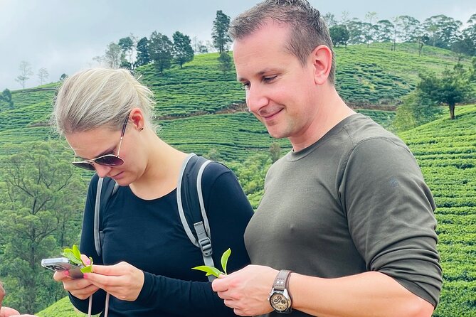 Nuwara Eliya Tea factory,plantation and Water Falls Tour - Who Should Consider This Tour
