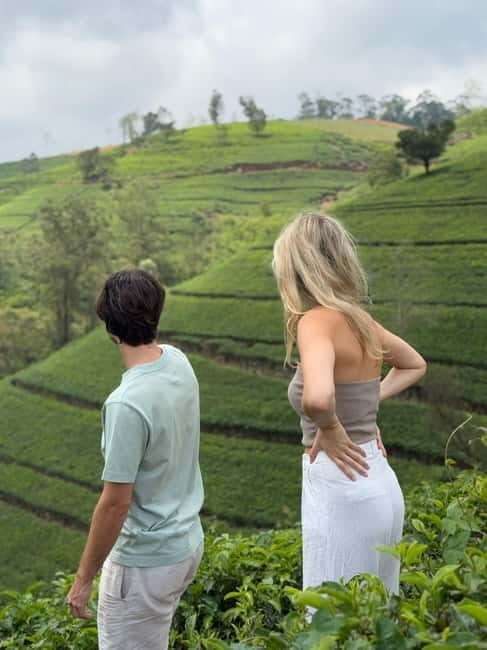 Nuwara Eliya Tea Visit & Ramboda Falls Tours with Taxis - Key Points
