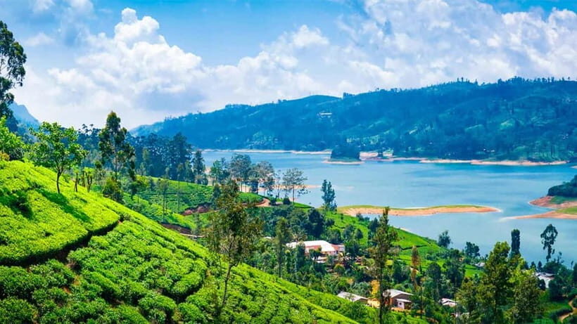 Nuwara Eliya to Kandy: Transfer with Waterfall & Tea Tour - The Beauty of the Scenic Transfer