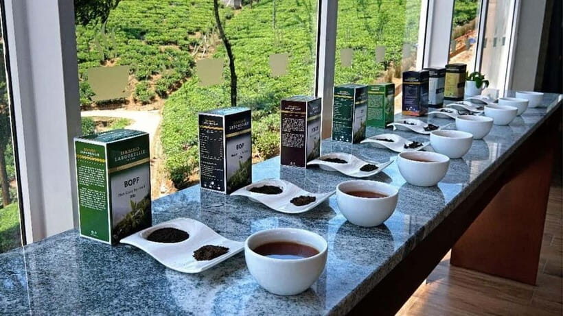 Nuwara Eliya to Kandy: Transfer with Waterfall & Tea Tour - Practical Considerations
