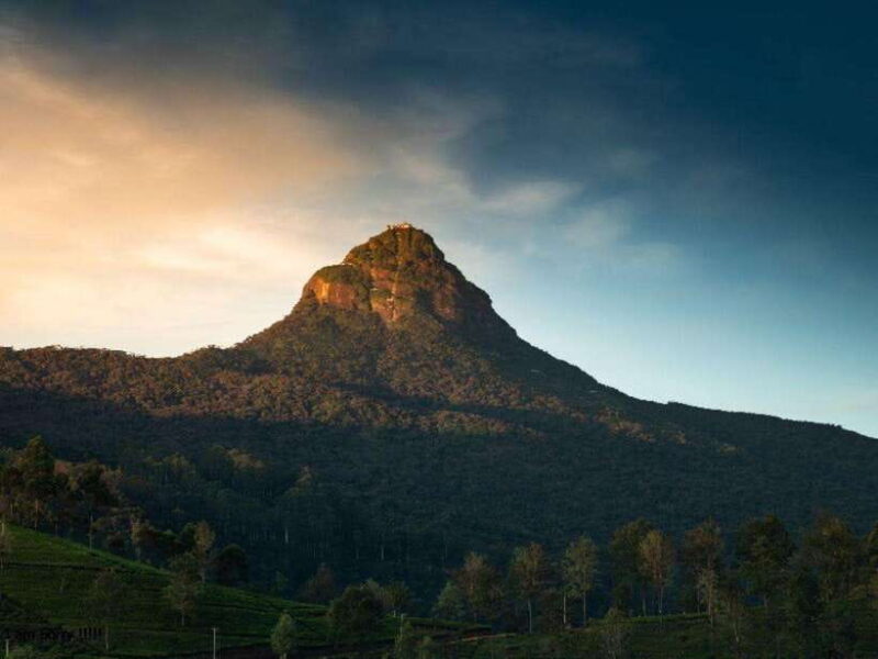 Nuwara Eliya to Summit Bliss: Adams Peak Overnight Hike - The Experience of the Wildlife Sanctuary