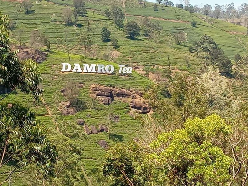Nuwara Eliya Tuk Tuk Tour Little England - The Sum Up: Who Should Consider This Tour?