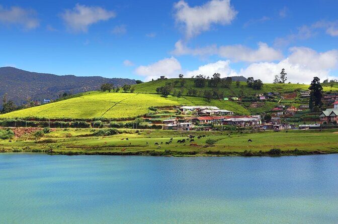 Nuwaraeliya Day Tour & Kithulgala Water Rafting from Kandy,Colombo or Ella - A Balanced Look at the Tour Experience