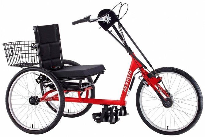 NYC Adult Tricycle Rental - Key Points