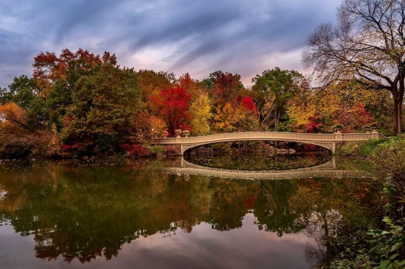 NYC: Central Park Christmas Lights Horse-Drawn Carriage Ride - NYC: Central Park Christmas Lights Horse-Drawn Carriage Ride — A Festive Journey Through the Heart of NYC