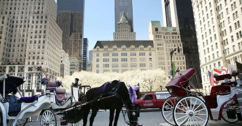 NYC: Central Park Christmas Lights Horse-Drawn Carriage Ride - Who Will Love This Tour?