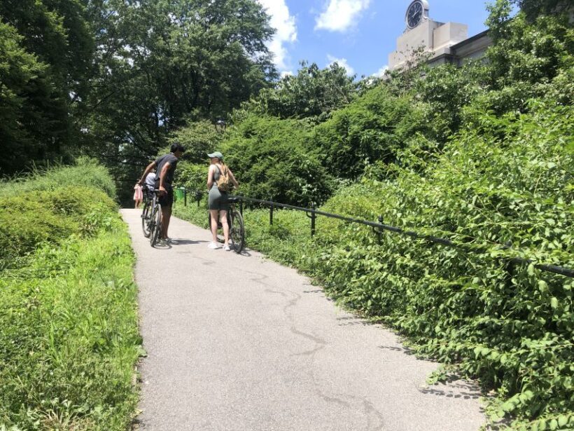 NYC: Central Park Guided Electric Bike Tour - Who Will Love This Tour?