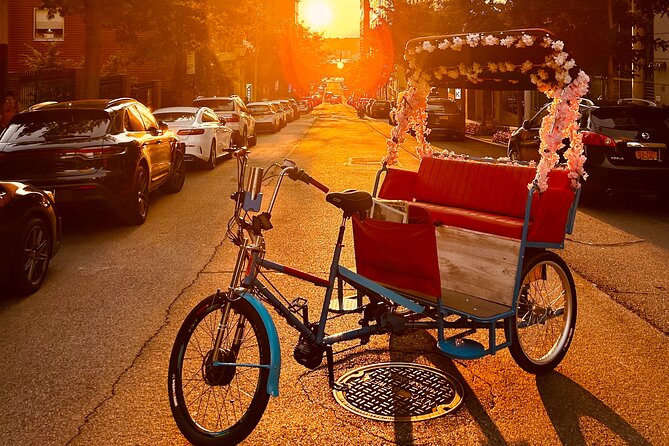 NYC Central Park Guided Pedicab Tour - 1 Hour - Tour Experience