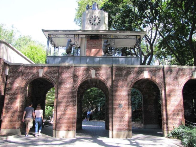 NYC: Central Park Guided Walking Tour English-Spanish - Key Points