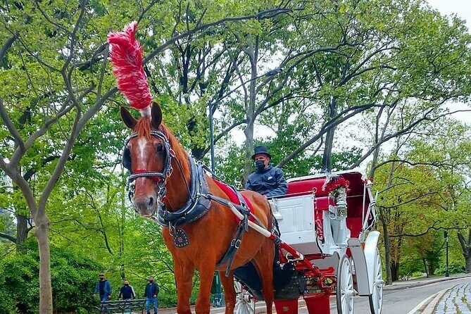 NYC Central Park Horse and Carriage Ride: Long Ride 45 min - The Itinerary and What You Can Expect