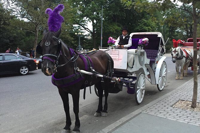 NYC Central Park Horse and Carriage Ride: Long Ride 45 min - Practical Tips for Booking and Participating