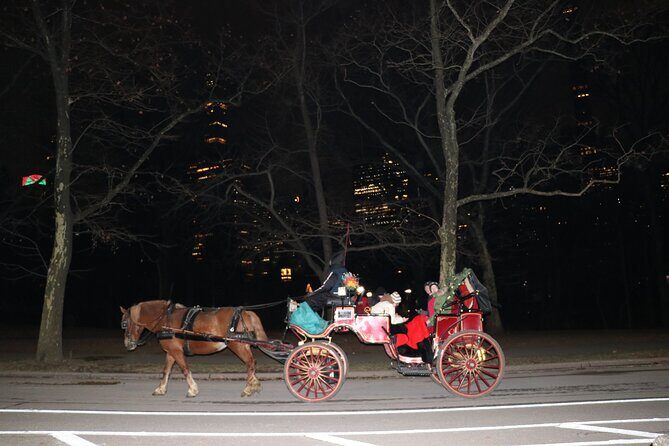 NYC Central Park Horse Carriage Ride (Up to 4 Adults) - FAQs