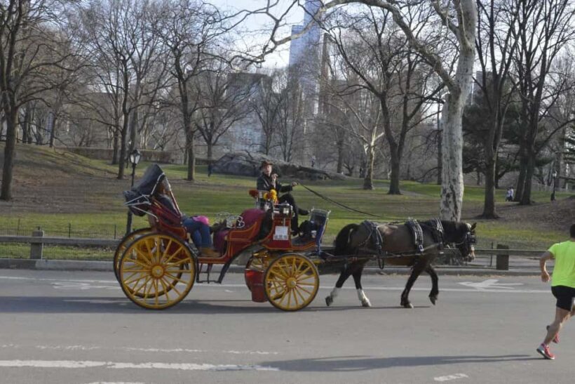 NYC: Central Park Horse-Drawn Carriage Ride - An In-Depth Look at the Experience