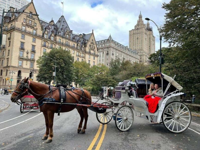 NYC: Central Park Horse-Drawn Carriage Ride - Frequently Asked Questions
