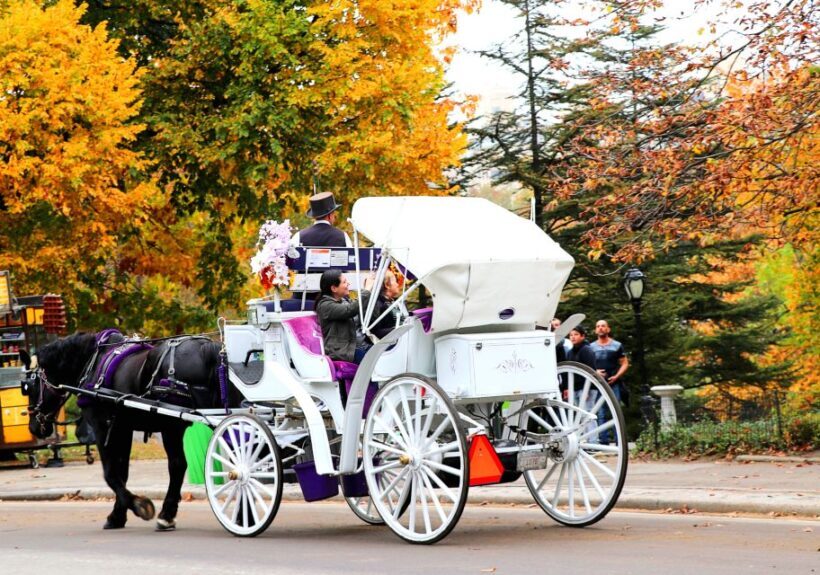 NYC: Central Park Horse-Drawn Carriage Ride (up to 4 Adults) - Why Choose This Experience?