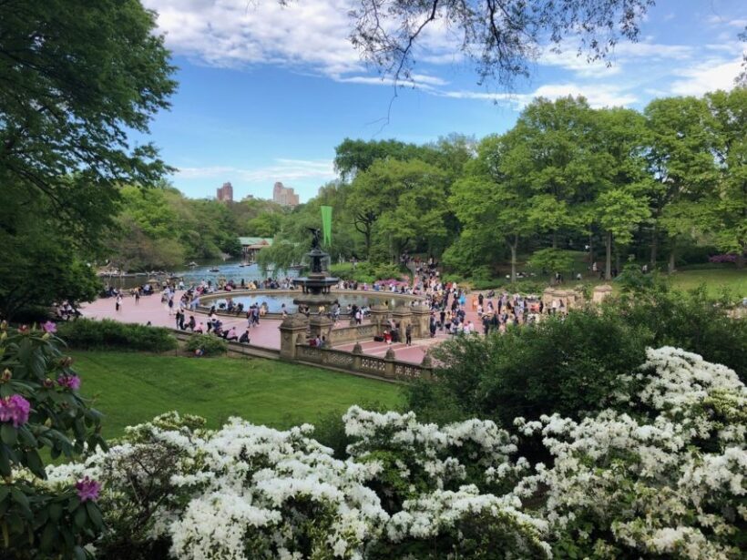 NYC: Central Park Horse-Drawn Carriage Ride (up to 4 Adults) - Final Thoughts