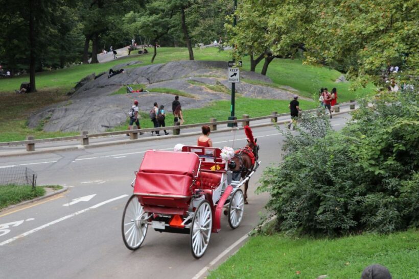 NYC: Central Park Horse-Drawn Carriage Ride (up to 4 Adults) - FAQ