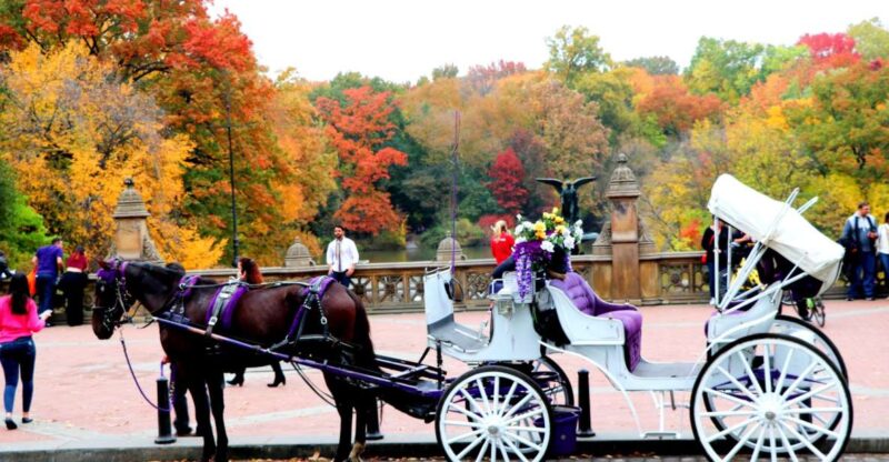 NYC: Central Park Horse-Drawn Carriage Ride (up to 4 Adults) - Who Will Love This Ride?