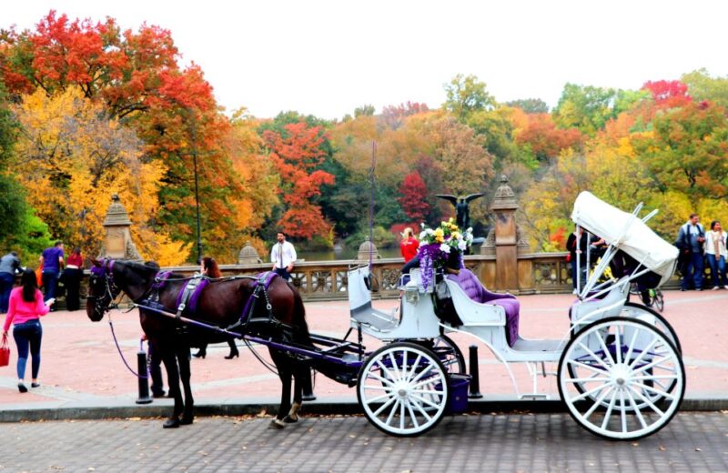 NYC: Central Park Horse-Drawn Carriage Ride (up to 4 Adults) - Final Thoughts