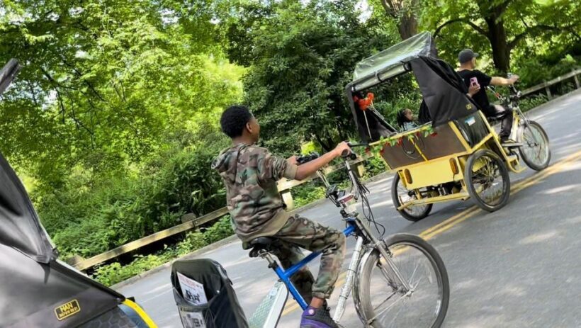 NYC: Central Park Pedicab Highlights Tour - The Sum Up