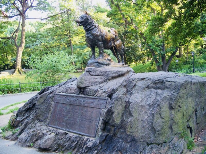 NYC: Central Park Pedicab Highlights Tour - Practical Tips for Booking and Enjoying the Tour