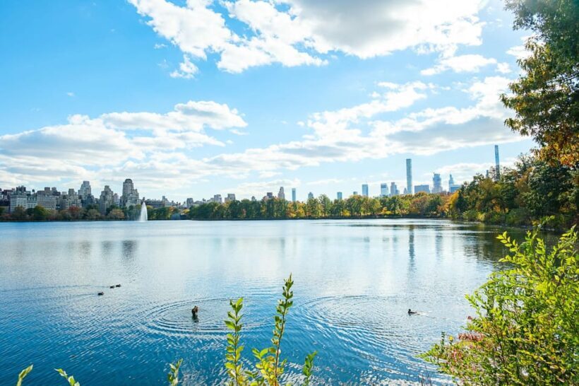 NYC: Central Park Pedicab Tour with Photo Stops - Authentic Experiences Based on Reviews