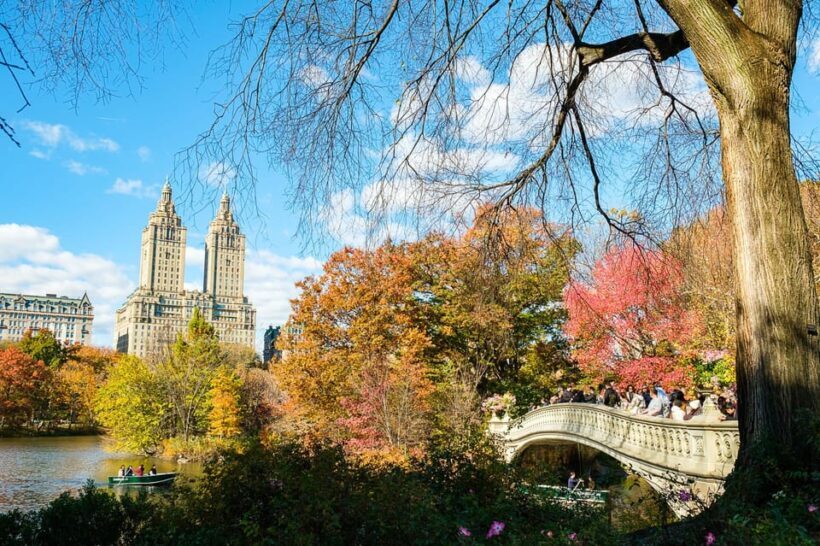 NYC: Central Park Pedicab Tour with Photo Stops - Who Might Want to Consider Alternatives?
