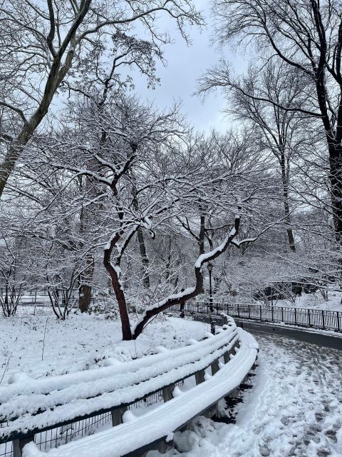 NYC Central Park Pedicab Tours - Pricing and Value