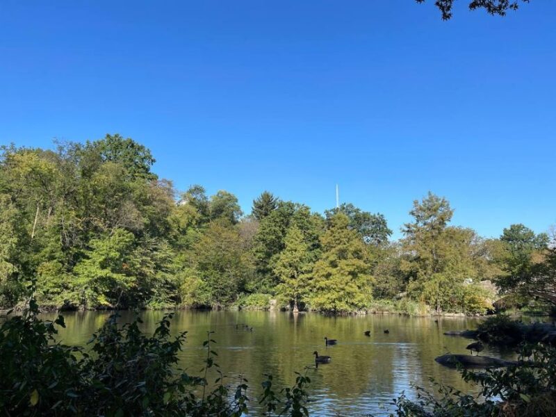 NYC Central Park Pedicab Tours - The Sum Up