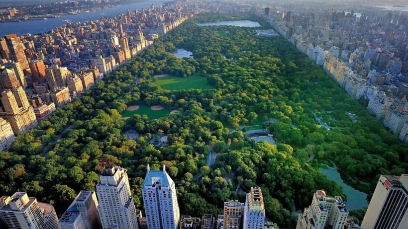 NYC Central Park Pedicab Tours - Why Choose a Pedicab Tour in Central Park?