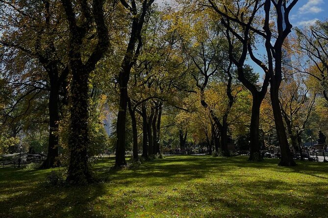 NYC Central Park Pedicab Tours - The Experience of a Pedicab Tour