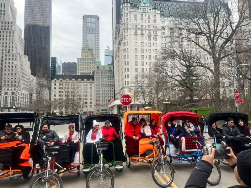 NYC: Central Park Private Tour - Final Thoughts