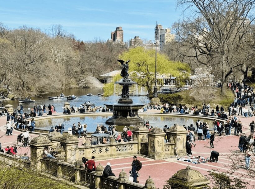 NYC: Central Park Rickshaw Tour / Private and Guided - Why Choose a Pedicab Tour?