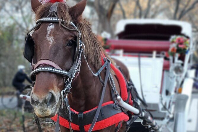 NYC Central Park & Rockefeller Center Private Horse Carriage Tour - What to Expect During the Ride