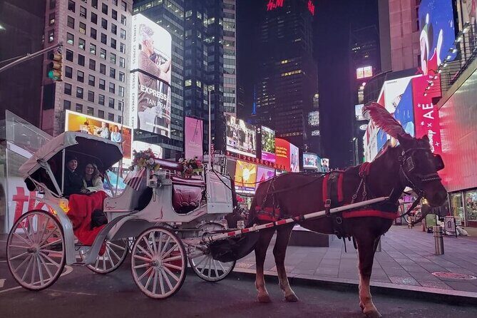 NYC Central Park & Rockefeller Center Private Horse Carriage Tour - Who Will Enjoy This Tour?