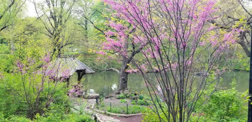 NYC: Central Park Secrets and Highlights Walking Tour - Practical Details & Tips