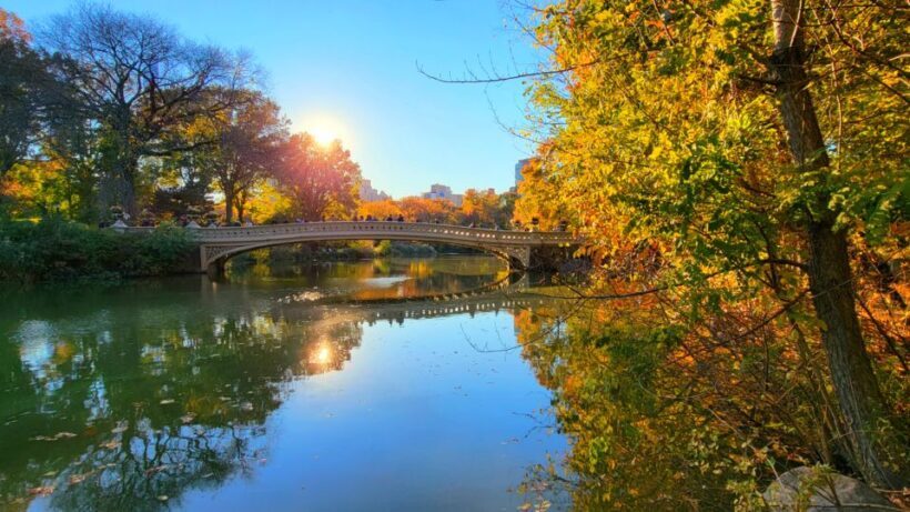 NYC: Central Park Secrets and Highlights Walking Tour - The Sum Up