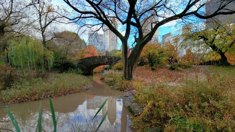 NYC: Central Park Secrets and Highlights Walking Tour - FAQs