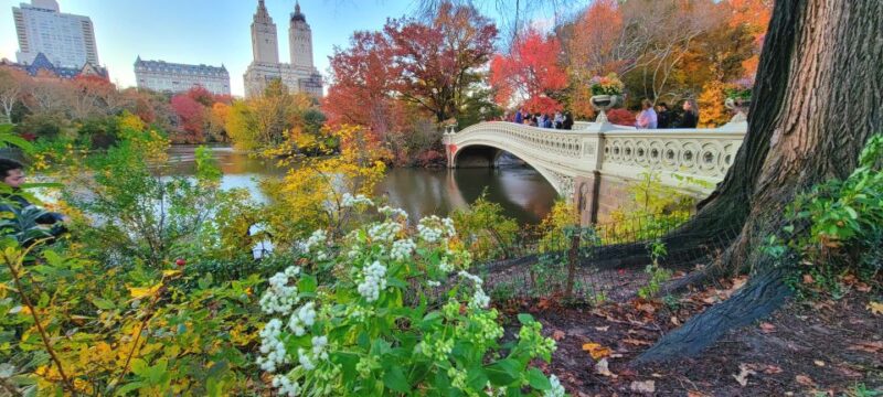 NYC: Central Park Secrets and Highlights Walking Tour - Practical Details and Value