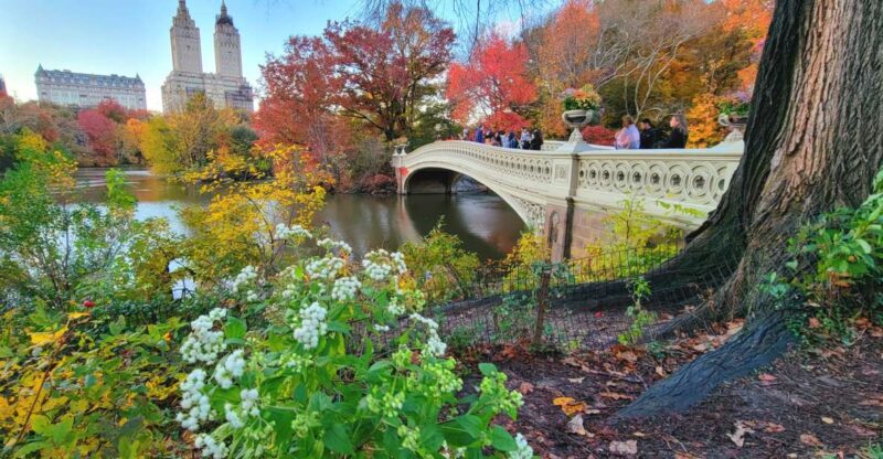 NYC: Central Park Secrets and Highlights Walking Tour - Why You Should Consider This Tour