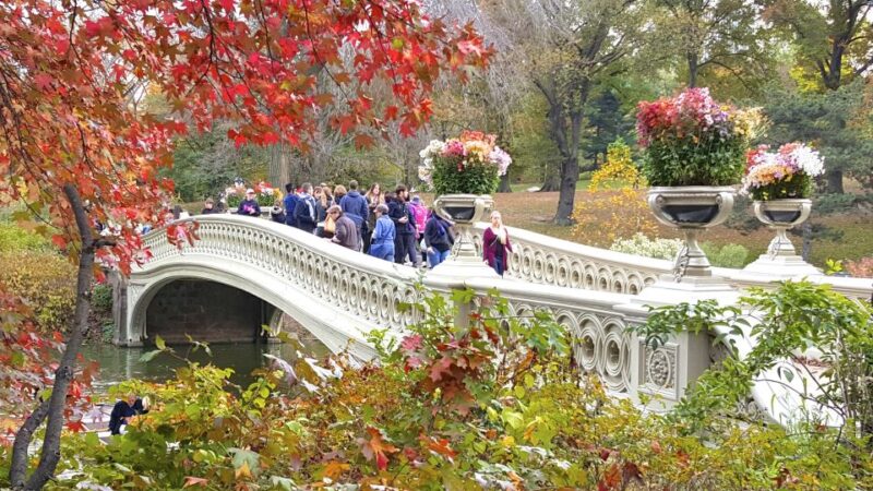 NYC: Central Park Secrets and Highlights Walking Tour - The Sum Up