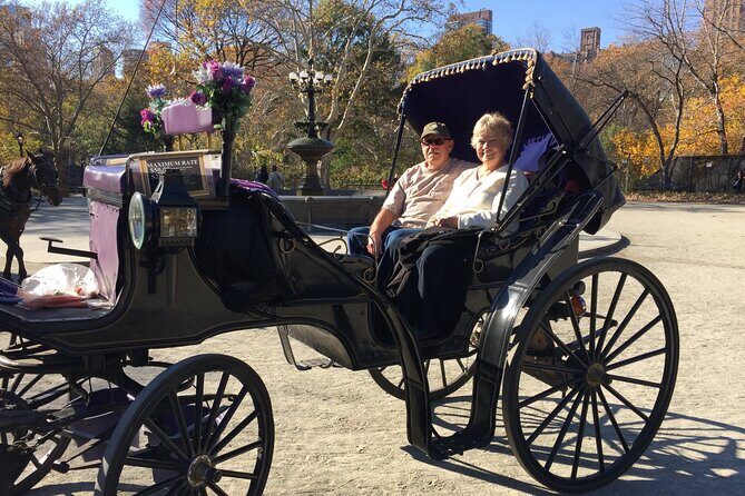 NYC Central Park VIP Horse and Carriage Ride - Who Will Love This Tour?