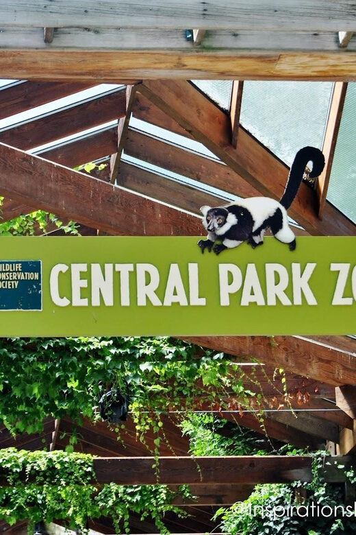 NYC: Central Park Zoo Entry Ticket & Manhattan Walking Tour - What We’re Hearing from Participants