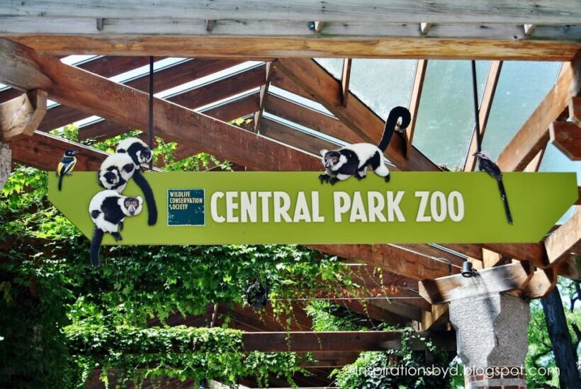 NYC: Central Park Zoo Entry Ticket & Manhattan Walking Tour - Final Thoughts: Is It Worth It?