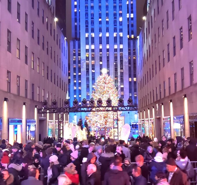 NYC: Christmas Lights Horse Carriage Ride - A Closer Look at the Tour Experience